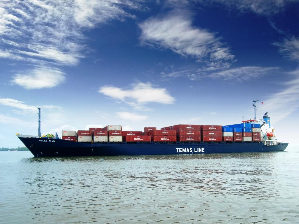 Pendapatan Tahun Lalu Tumbuh, TEMAS Line Genjot Target di 2017