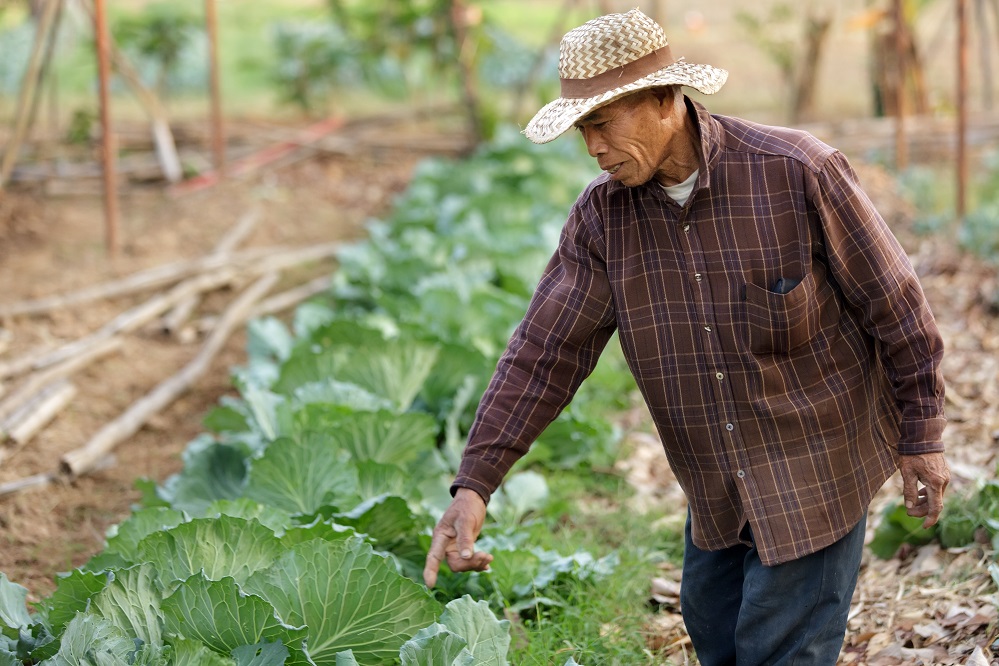 Asuransi Jagadiri Edukasi Petani Tentang Literasi Keuangan