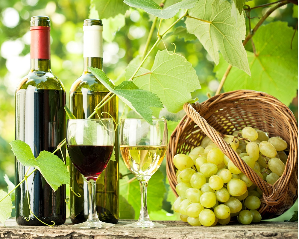 Ini Dia Lokasi Penghasil Anggur Yang Tak Bisa Dilewatkan Pecinta Wine