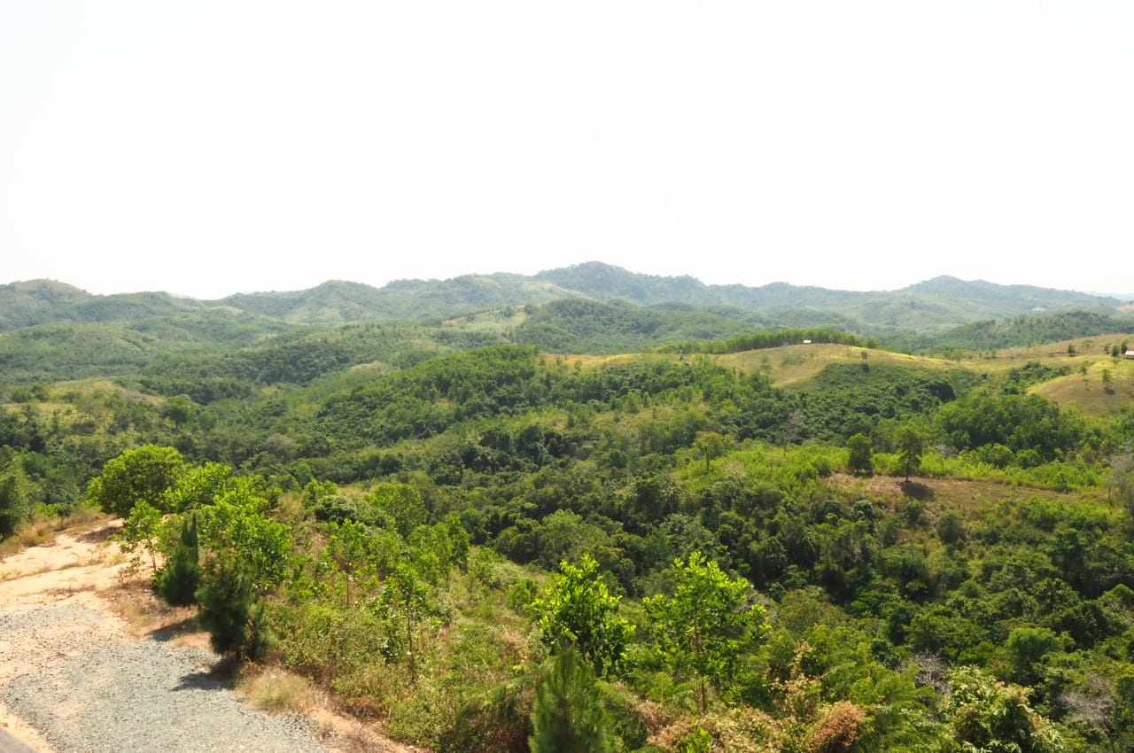 Pegunungan Meratus Dipromosikan Sebagai Geopark Internasional UNESCO