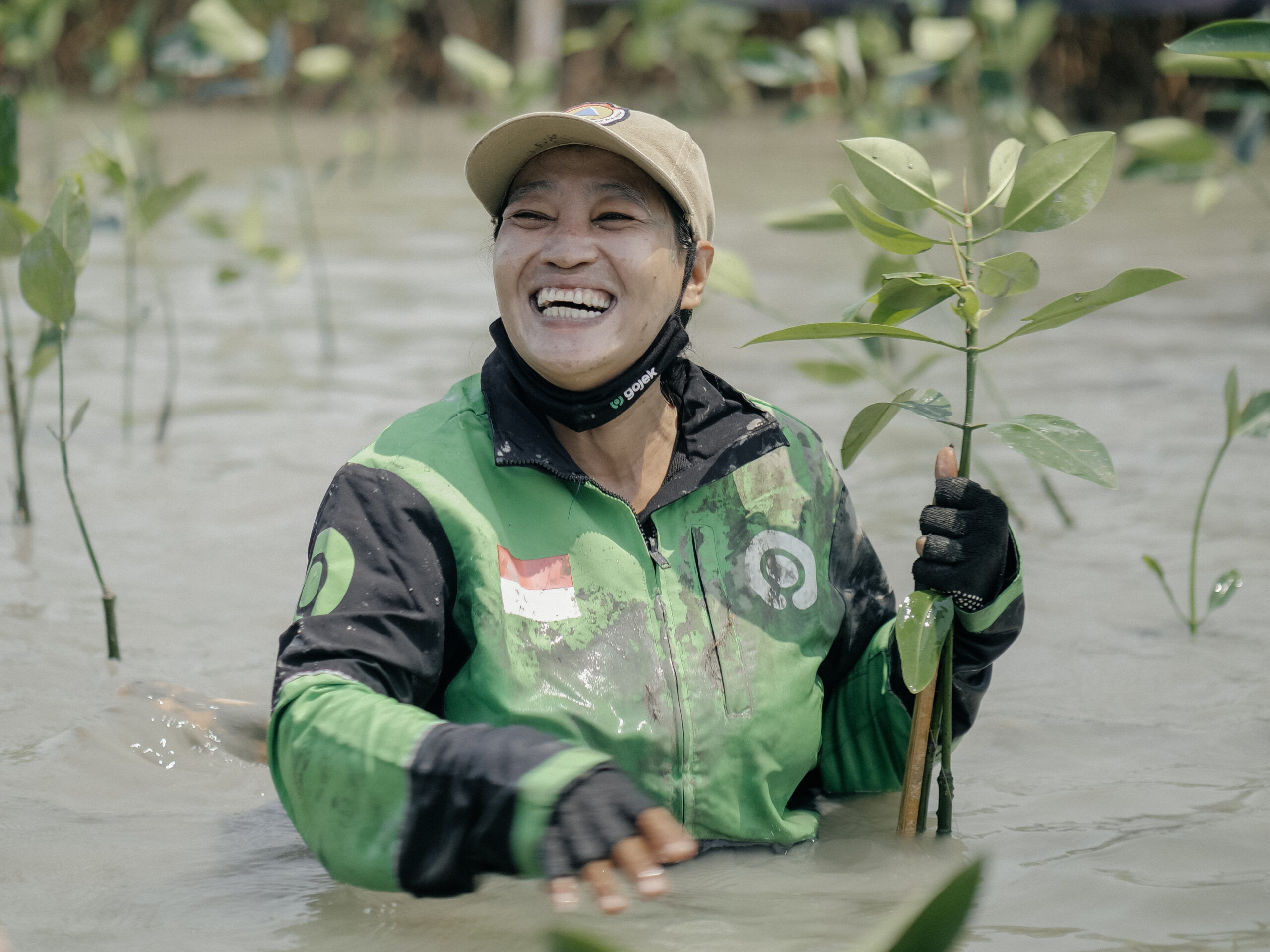 Lewat Pohon Kolektif #GoGreener, Gojek Perkuat Kontribusi Berkelanjutan