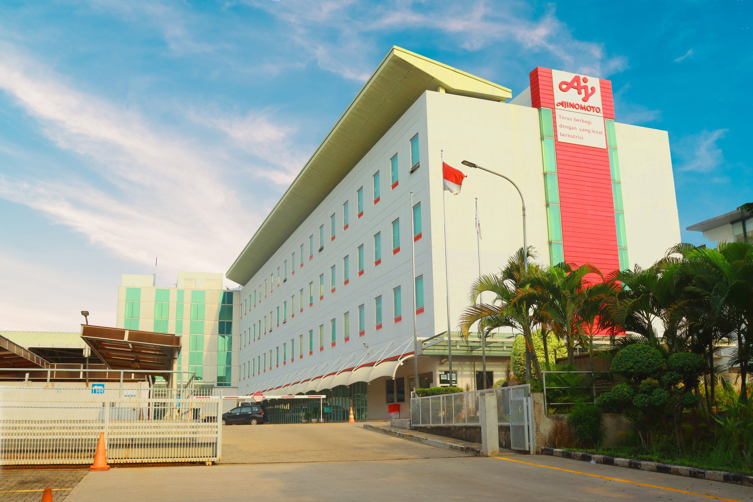 Strategi Bisnis Ajinomoto Agar Tetap Eksis di Pasar Indonesia