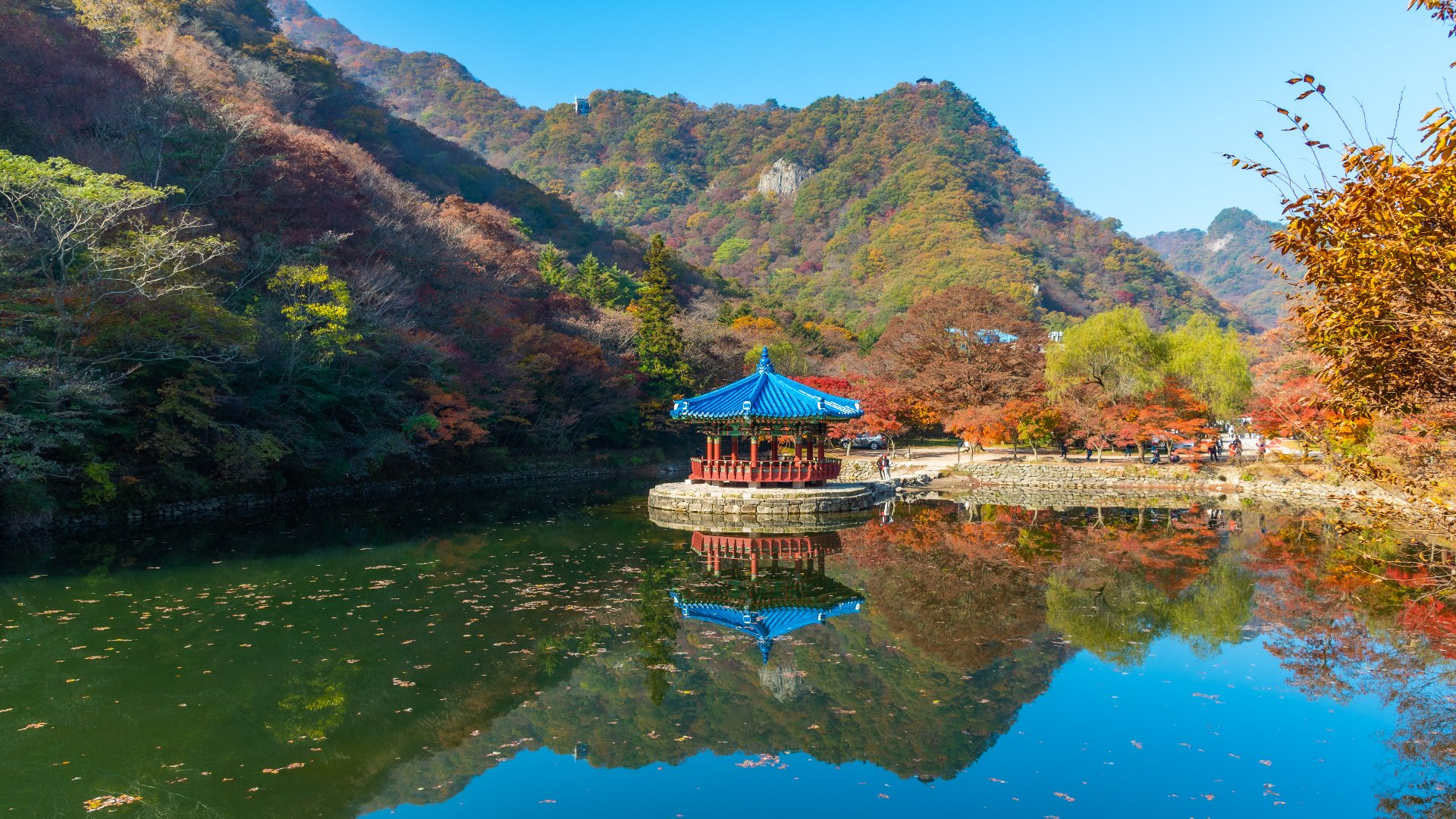 3 Destinasi Wisata Musim Gugur Anti-mainstream di Korea Selatan