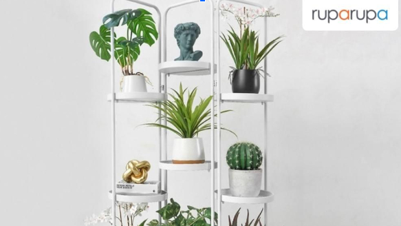 4 Cara Menata Rak Tanaman di Rumah agar Tampak Estetik