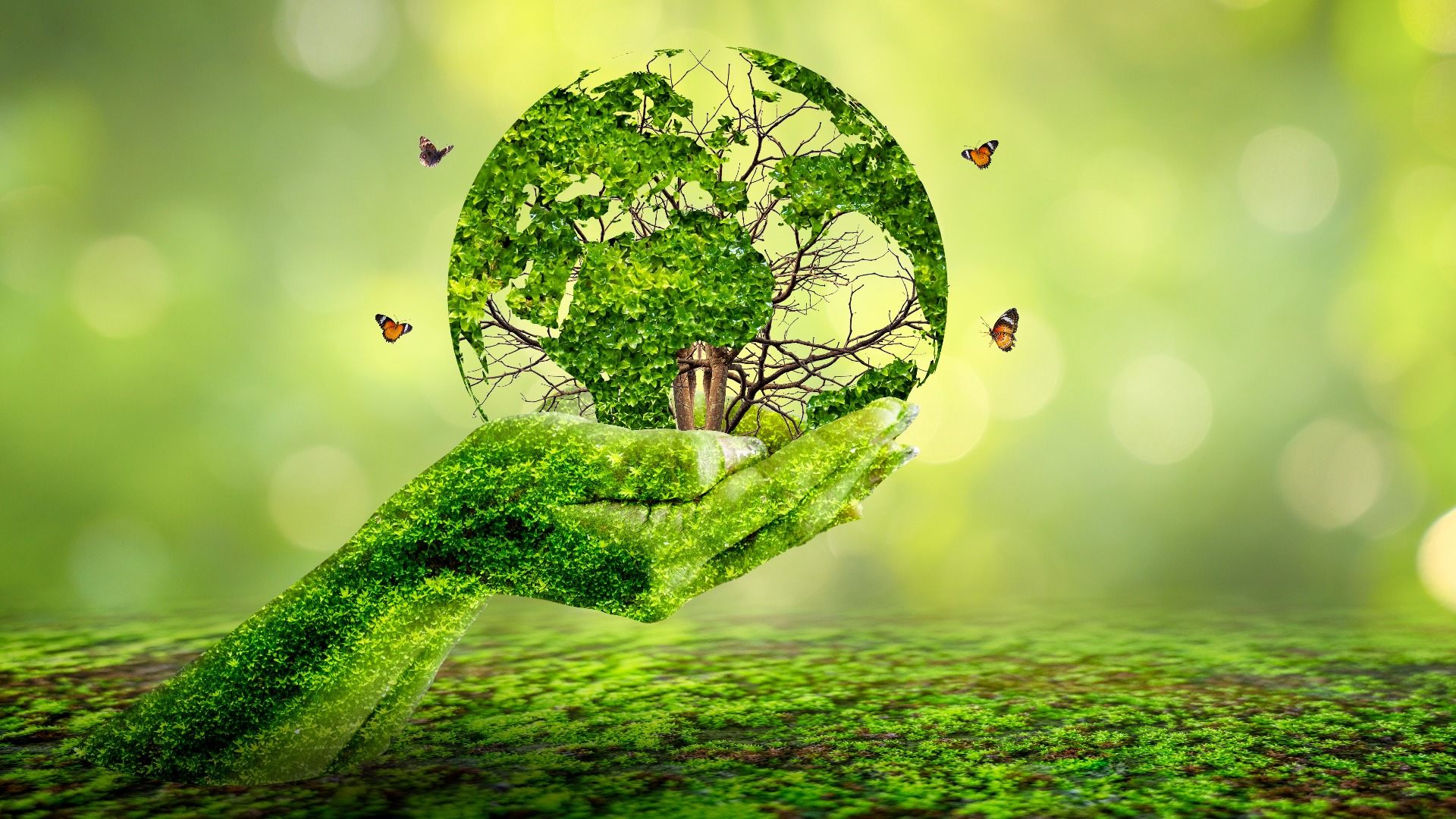 Mengenal Istilah Green Energy demi Lingkungan Berkelanjutan